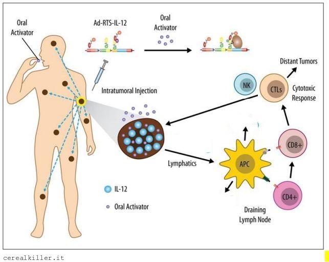 Ziopharm Oncology ( $ZIOP ): Ad-RTS IL-12 e melanoma, movimenti ...